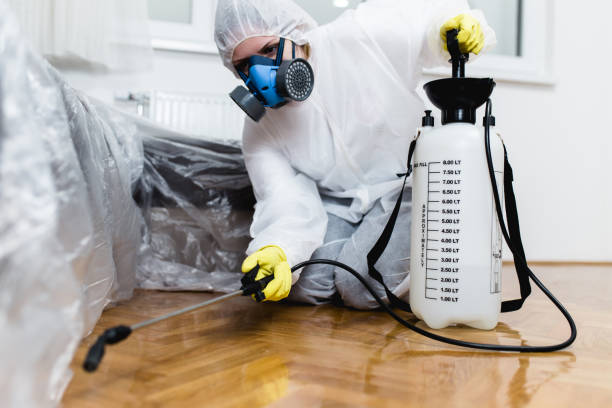 Cerified Termite Control & Exterminator in Beaverton, OR | Call (840 ...